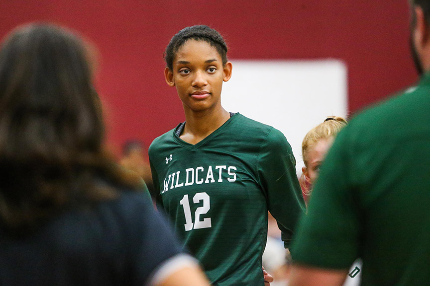 Illprepvb.com presents the 100 All-Time Best Illinois Girls Volleyball ...