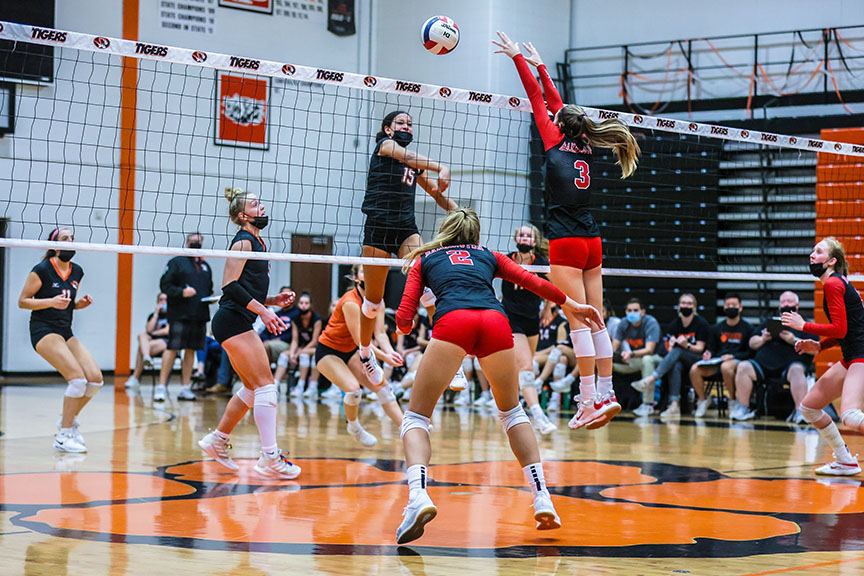 Isn't it about time the IHSA created a 'true' girls state volleyball ...