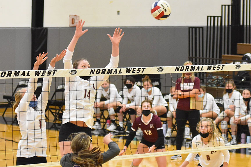 Ella Ramsay's cerebral approach has Maroon fans thinking 'red ...